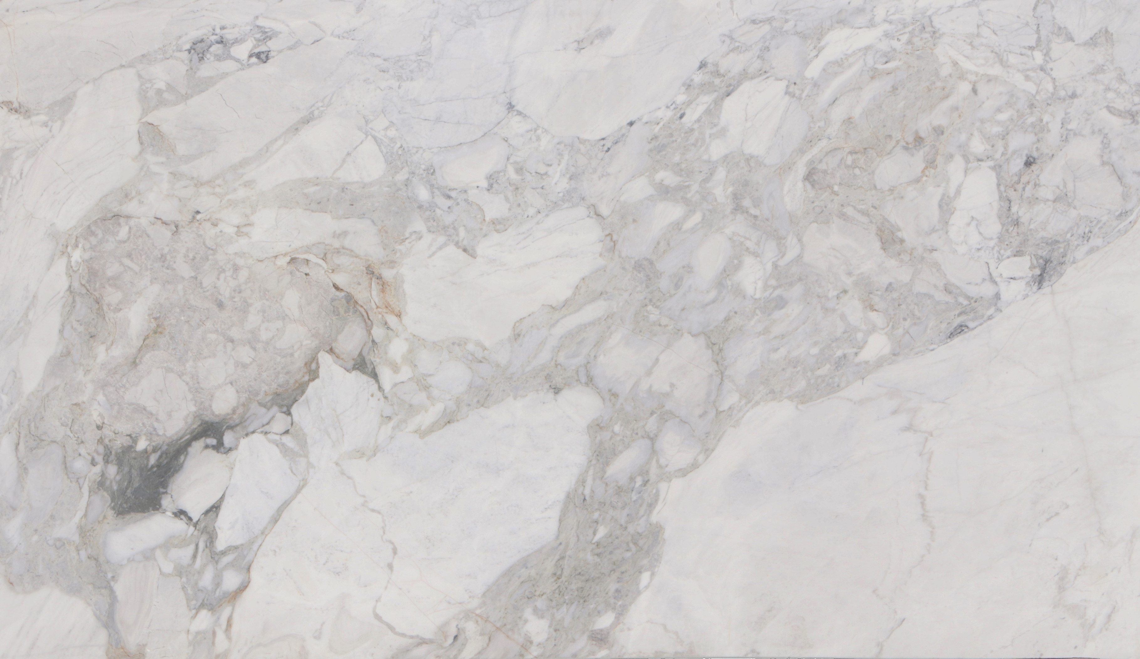 Calacatta Michelangelo Honed - Marble l Aria Stone Gallery | Marble ...