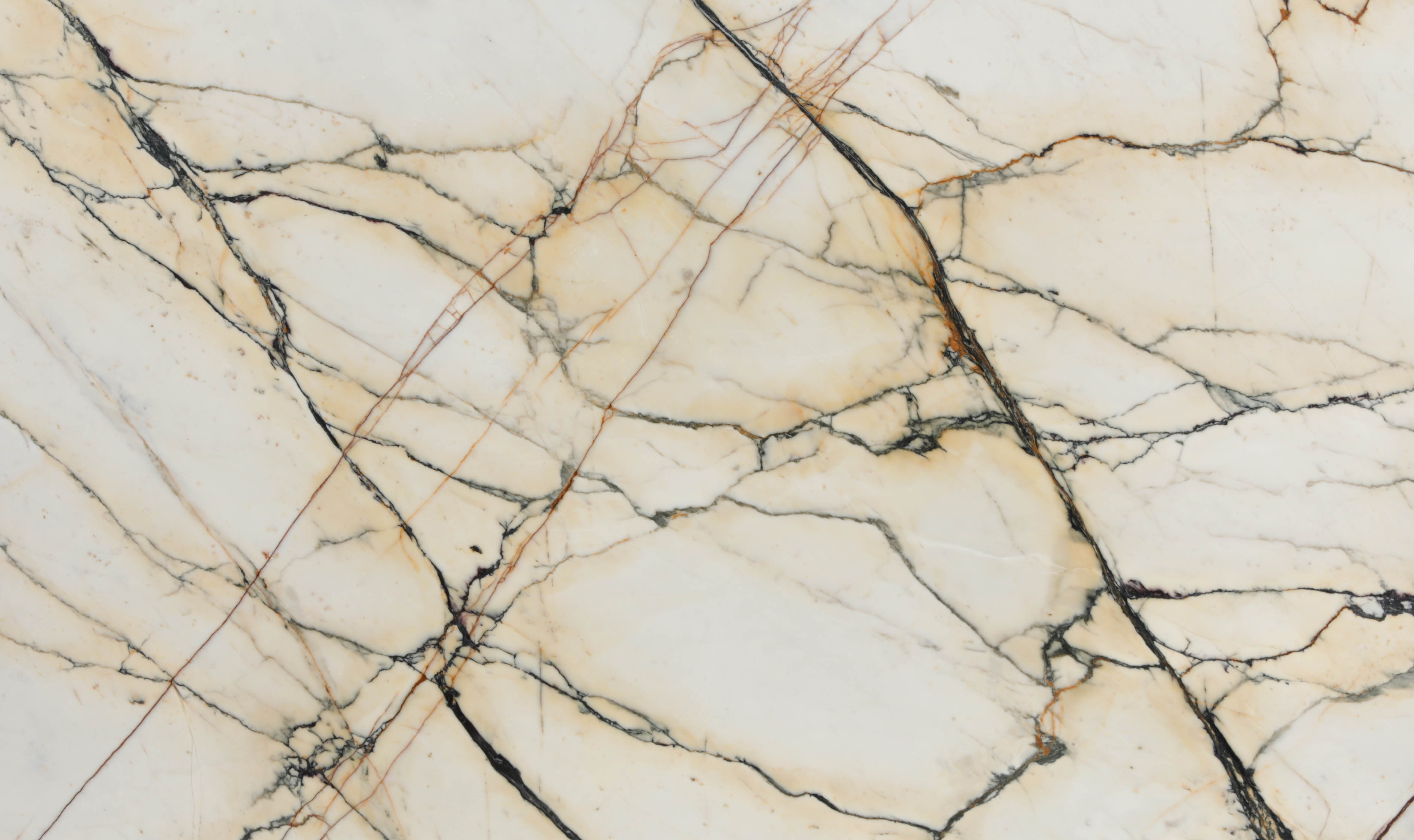 2cm Calacatta Paonazzo - Marble | Aria Stone Gallery | Marble | Aria ...