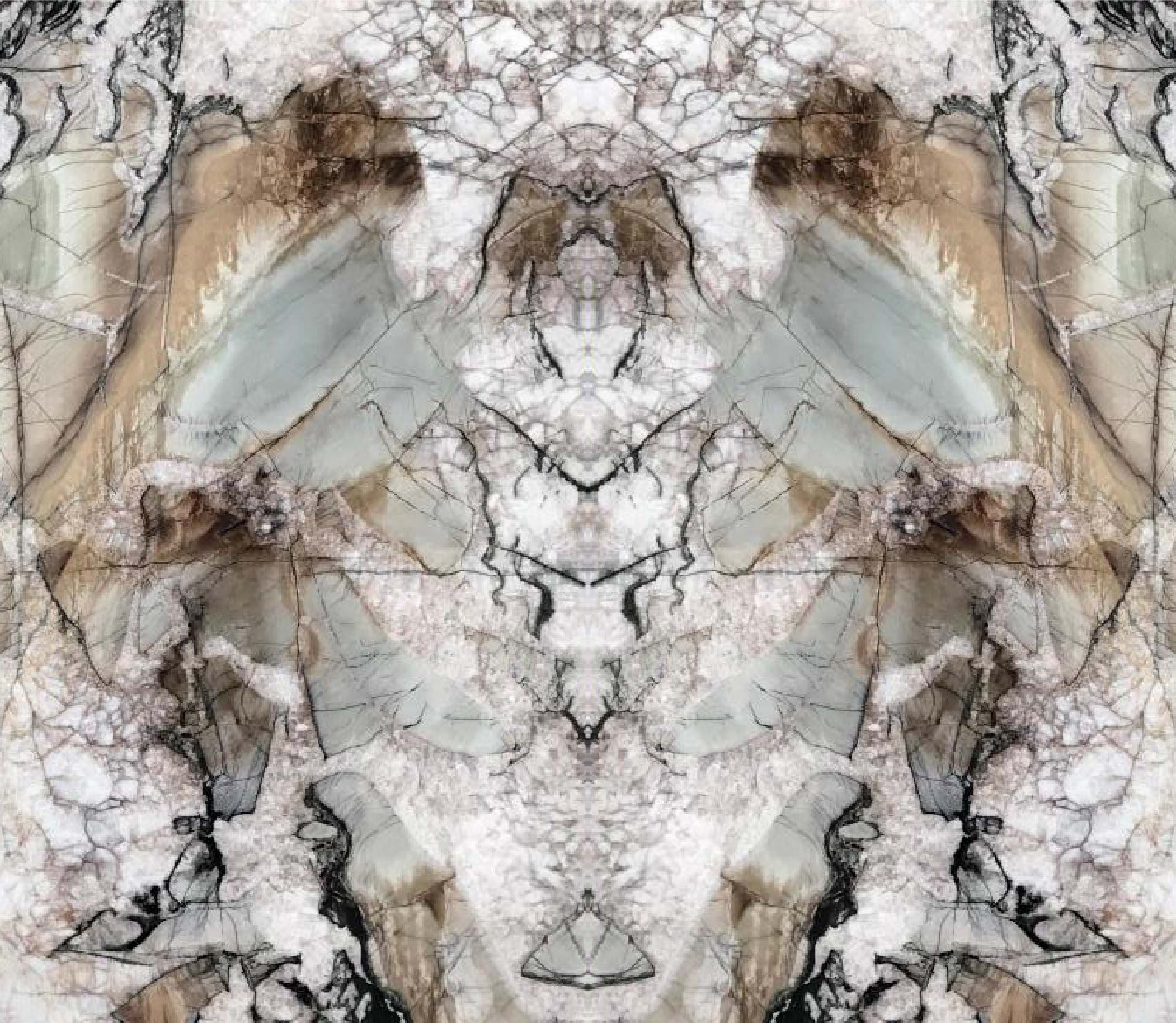 Mappa Texture Libro Western Medieval Manuscripts : MS Ff.1.27